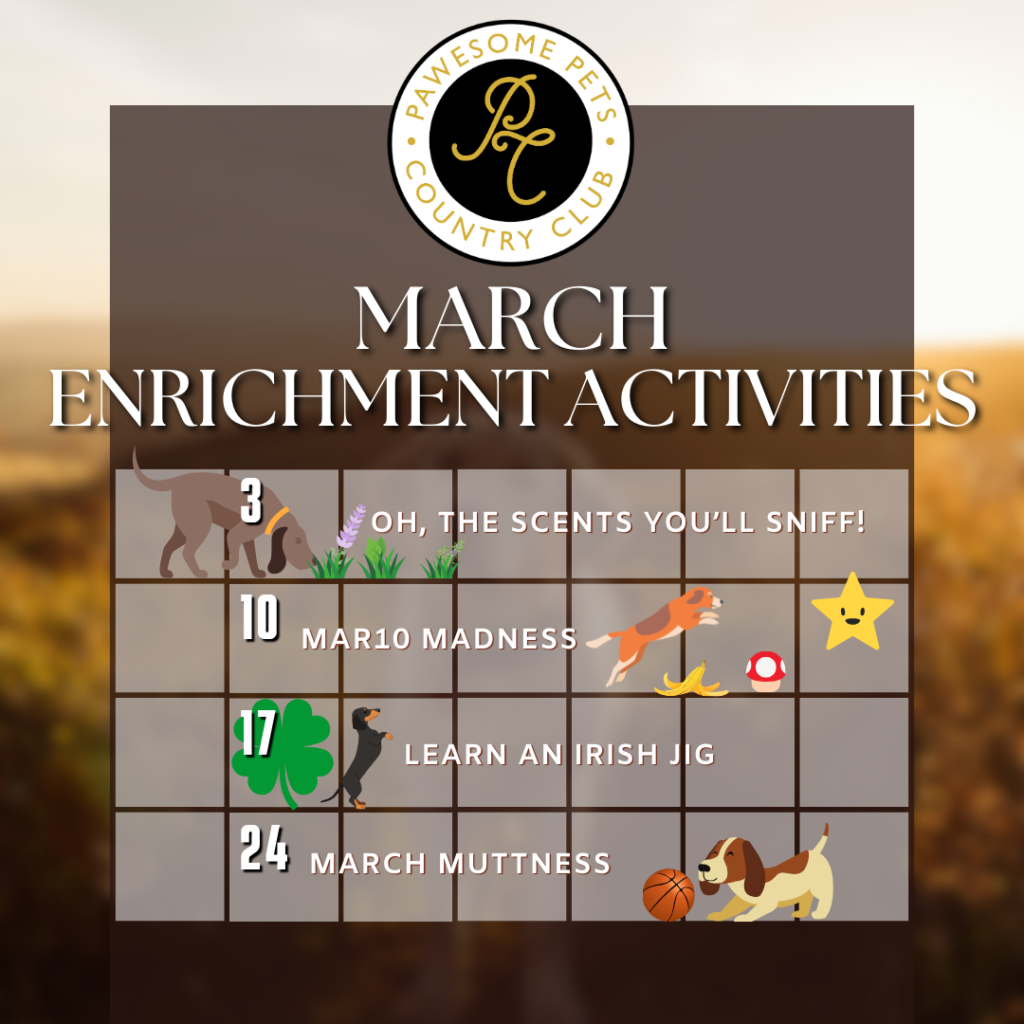 Pawesome Pets Country Club - Dog Daycare Pet Boarding Holmen